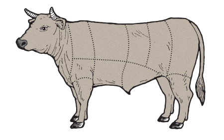 Butchering beef, pork and lamb - Beef cutting instructions
