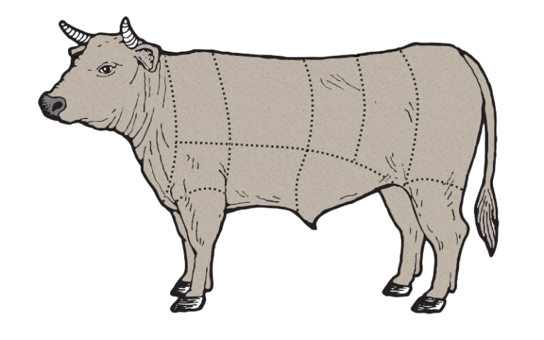 Butchering beef, pork and lamb - Beef cutting instructions
