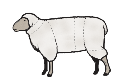 Butchering lamb - Cutting Instructions